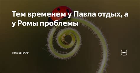 Тем временем у Павла отдых а у Ромы проблемы Яна Штефф Дзен