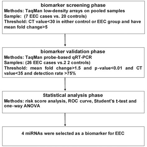 Identification Of Four Serum Micrornas From A Genome Wide Serum