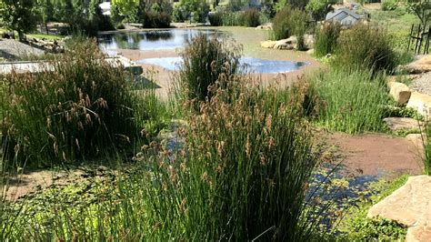 Plenty Valley — Stem Landscape Architecture And Design