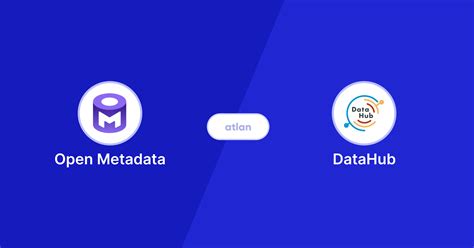 Openmetadata Vs Datahub Which One To Choose In 2025