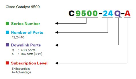 New How To Distinguish Specifications From Sku Of Cisco Catalyst Switches Router Switch Blog