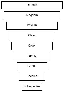 Spatiotemporal Wildlife Classification Docs