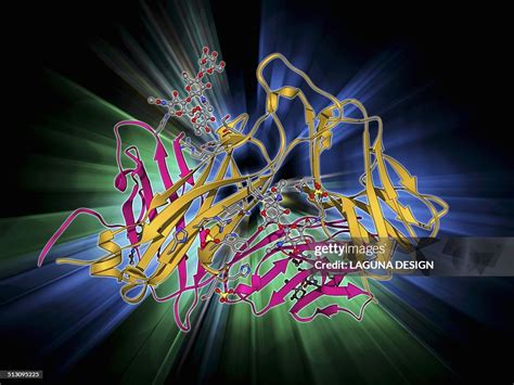 T Cell Receptor Molecular Model High Res Vector Graphic Getty Images