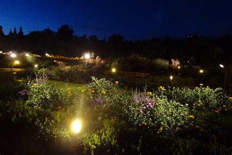 Nacht Unter Blumen Nacht In Berlin