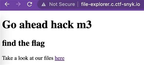 Fetch The Flag Ctf 2022 Writeup File Explorer Snyk