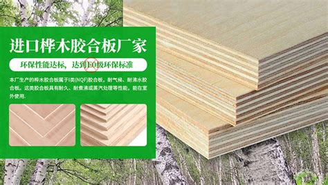 E1板材 免漆板 环保 第12页 大山谷图库