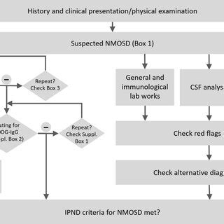 Proposed Algorithm For The Diagnosis Of NMOSD AQP4 IgG Aquaporin 4