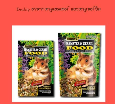 Buddy อาหารหนูแฮมเตอร์ และหนูเจอร์บิล Th
