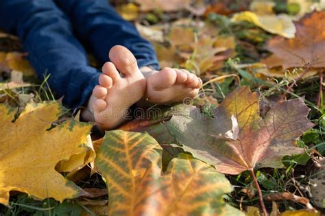 Niño Descalzo Sentado En El Suelo Entre Las Hojas De Otoño De Color