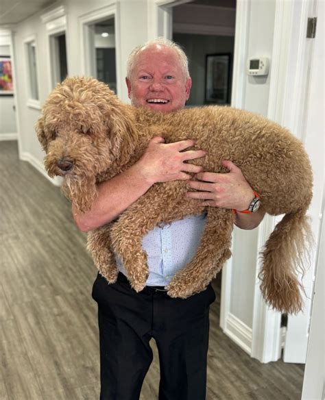 Daniel Durst Insurance And Financial Services Ltd On Linkedin Celebrate Team Agent