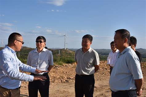 内蒙古自治区能源局领导莅临新能源公司所属巴拉格歹项目现场调研公司动态新天绿色能源