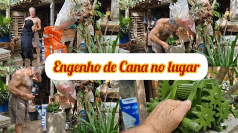 Instalei meu engenho de CANA Ficou bem preso Gostei muito chácara