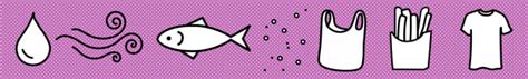 Difference Among Microplastics Phthalates Bpa And Pfas Consumer