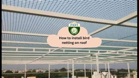 How To Install Bird Netting On Roof Fast Safety Nets Hyderabad