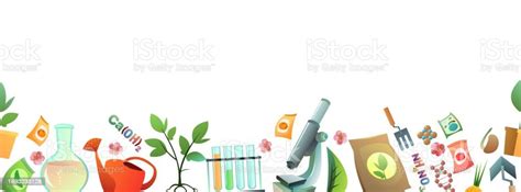 화학 및 천연 비료 이음매 없는 하단 테두리 야채와 과일 나무의 수확량을 증가시키기 위해 미네랄 및 유기농 탑 드레싱을 도입합니다 흰색 배경에 격리되어 있습니다 벡터 0명에