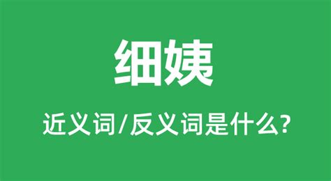 细姨的近义词和反义词是什么 细姨是什么意思 学习力