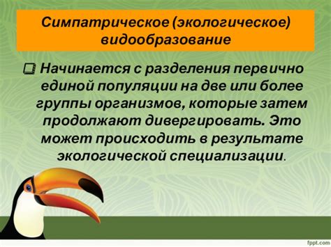 Презентация по биологии Видообразование, 11 класс доклад, проект