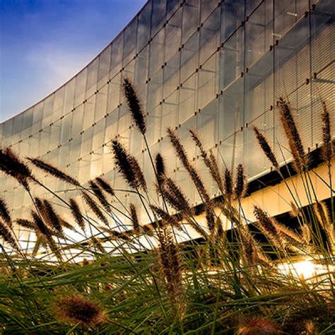 Entry Level Programs National Intelligence Community