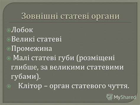 Презентация на тему Жіноча статева система представлена внутрішніми
