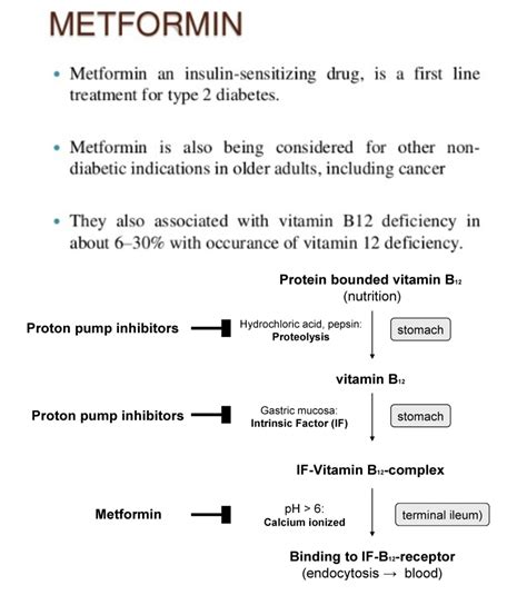 My Collections For Neet Pg Metformin And B12 Deficiency