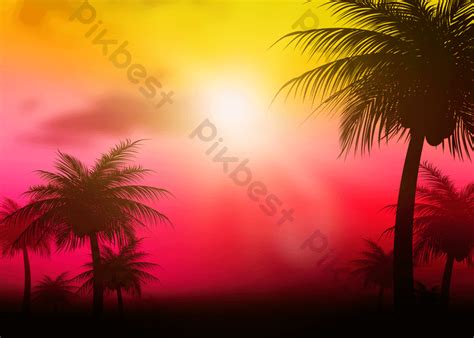 Coconut Tree Silhouette Summer Abstract Of Under The Sun Psd Free