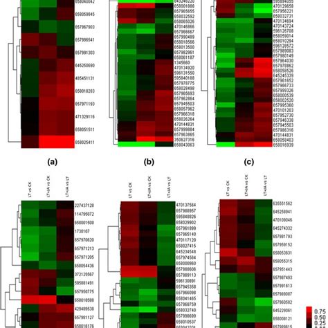 Hierarchical Clustering Analysis Of The Relative Abundance Profiles For