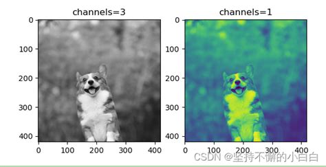 Linux深入浅出pytorch（六）pytorch生态简介及模型部署pytorch模型部署linux Csdn博客