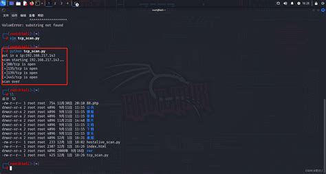渗透测试——三、脚本编写syn泛洪攻击代码 Csdn博客