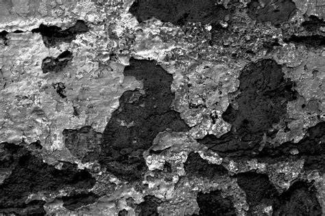 Aaron Siskind Fotografia