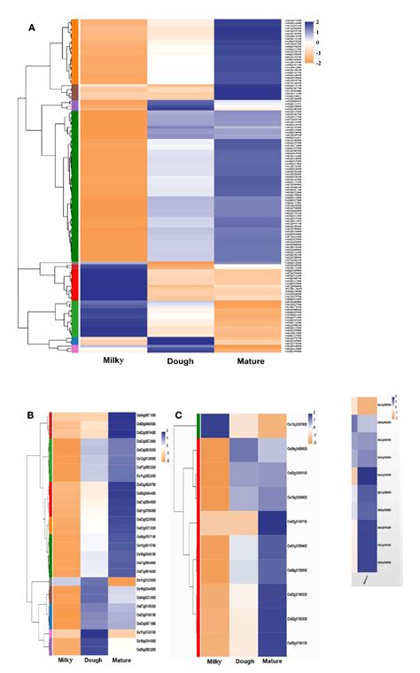 Figure 11 From Integrative Hplc Profiling And Transcriptome Analysis Revealed Insights Into