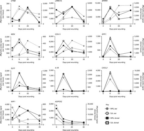Temporal Gene Expression Profiles Of 11 Maximally Altered Secreted