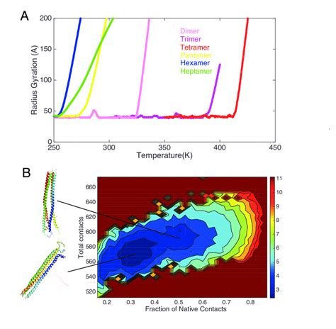 Figure S4 Simulated Melting And Free Energy Profile Quantify The Download Scientific Diagram