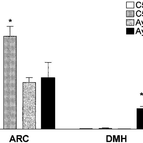 Npy Mrna Levels In The Arc Left And Dmh Right Of C57bl6j