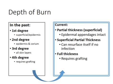 Hrandr1 Test 4 Part 2 Burns Skin Ca Necrotizing Fasciitis Flashcards Quizlet