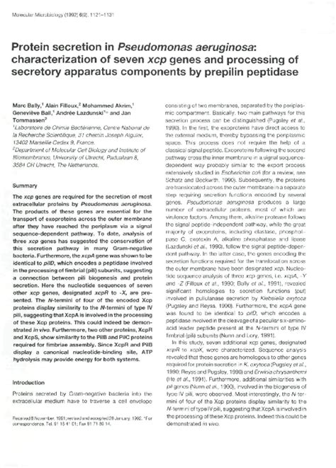 Pdf Protein Secretion In Pseudomonas Aeruginosa Characterization Of Seven Xcp Genes And