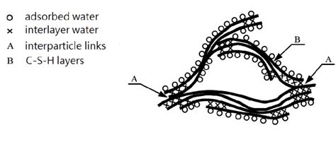 1 Model Of Csh Microstructure 2 Download Scientific Diagram