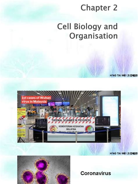Chapter 2 Cell Biology And Organisation Download Free Pdf Human