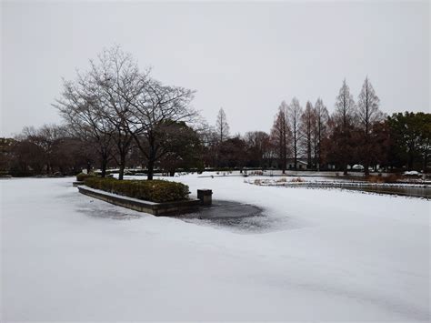 20240206 081343 越谷総合公園
