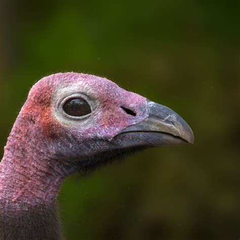 Texturing And Lookdev Additional Skill Acquisition Programme Kerala