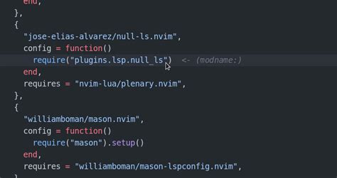 flicker when typing function arguments · issue 2 · simrat39 inlay
