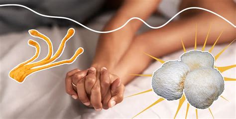 Mushrooms For Libido Can Mushrooms Enhance Your Sex Life Cure Mushrooms