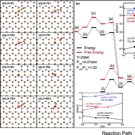 Top Views Of The Optimized Atomic Structures Of The Potential Reaction