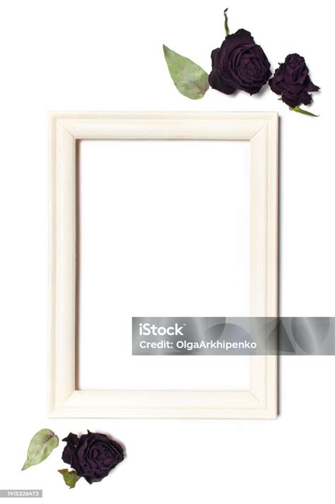 흰색 나무 사진 프레임과 흰색 배경에 말린 장미 플랫 레이 상단보기 복사 공간 봄 작곡 빈 사진 프레임과 말린 꽃이있는 모형 건조한에 대한 스톡 사진 및 기타 이미지