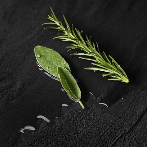 Armani Acqua Di Giò Le Parfum Hervulbaar Heren Parfum Parfum Ici