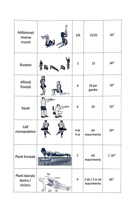 SOLUTION Esempio Di Circuit Training Studypool