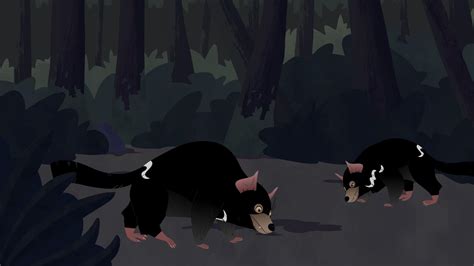 Wild Kratts Tazzy Chris