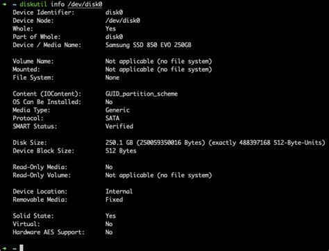 리눅스 Linux macOS 같은 유닉스 Unix 환경에서 디스크 관리 알아보기
