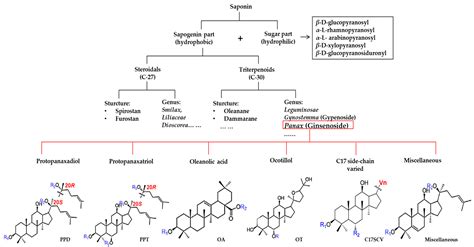 Diversity Of Ginsenoside Profiles Produced By Various Processing