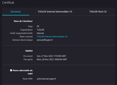 TheStaticTurtle Running An ACME In My Homelab