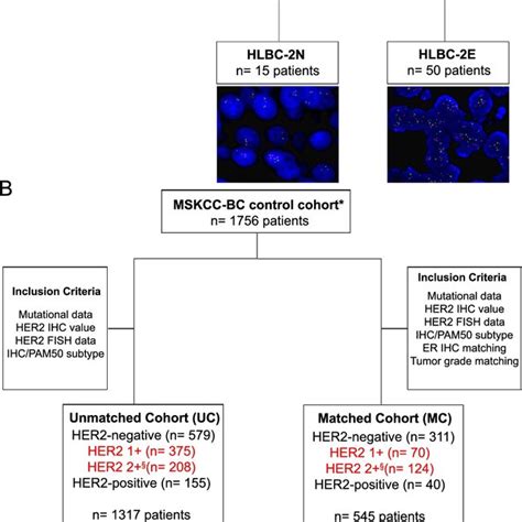 Actionability Of The Mutations In Hlbcs A Combined Double Y Axis Download Scientific Diagram